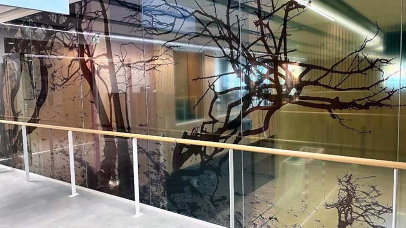 Fase II-data: 177Lu-PNT2002-tilsætning øger PFS ved orHSPC